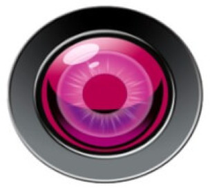 Karriere bei NERA Vision